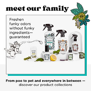 Poo-Pourri Before-You-Go Toilet Spray, Fresh Air, 2 Fl Oz - Jasmine, Fresh Air and Mint
