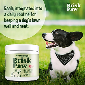Brisk Paw Green Lawn Dog Vitamins and Supplements | Enriched with Dog Probiotic, Cranberry, and Spirulina | Dog Urine Neutralizer for Grass and Help Yellow Burn Spots | 120 Dog Chews