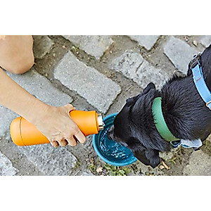 Zoku Stainless Steel Water Bottle, 18-Fluid Ounces, Orange