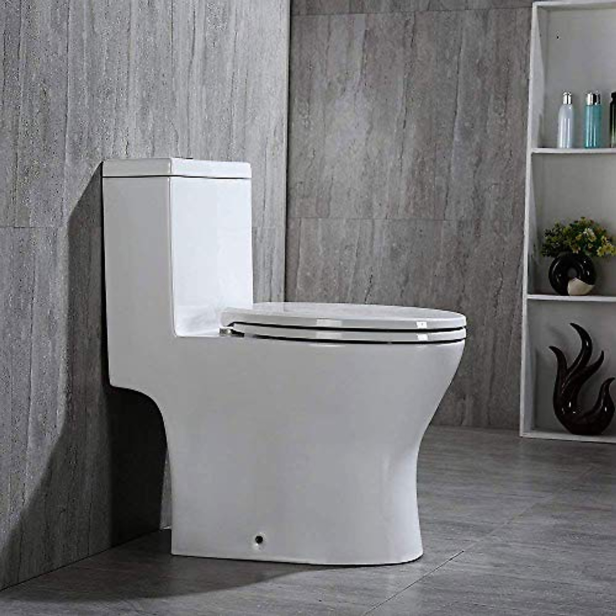 WOODBRIDGEE Modern Elongated One piece Toilet Dual flush 1.0/1.6 GPF,with Soft Closing Seat,1000 Gram MaP Flushing Score,white,T-0032