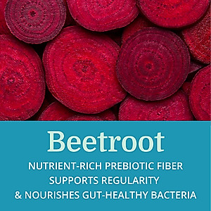 Morter HealthSystem Alkadophilus (2 Pack) Best Process Alkaline — No Refrigeration Probiotic & Prebiotic Digestive Supplement — 1.5 Billion CFU of Good Bacteria & Beetroot