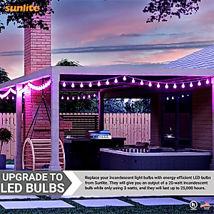 Sunlite 40946 LED A19 Colored Light Bulb, 3 Watts (25w Equivalent), E26 Medium Base, Non-Dimmable, UL Listed, Party Decoration, Holiday Lighting, 6 Count, Purple