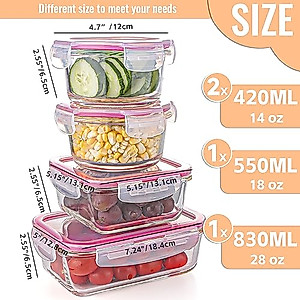 FILTA 4 Pack Glass Food Storage Containers with Lids: Glass Meal Prep Containers For Lunch,Leftover,Dishwasher Safe