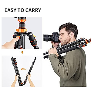 K&F Concept 78 inch Camera Tripod for DSLR Compact Aluminum Tripod with 360 Degree Ball Head and 10KG Load for Travel and Work K234A7+BH-28L (S210)
