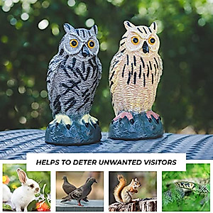 Galashield Owl Decoys to Scare Birds Away | Plastic Owls to Scare Birds Away | Owl Statue for Garden & Outdoors [Set of 2]
