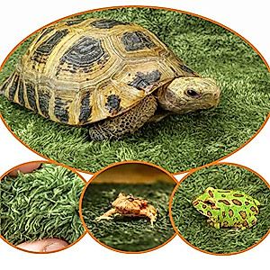 kathson 2pcs Reptile Carpet Terrarium Liner Tortoise Bedding Reptile Substrate Liner Mat Pet Cage Mats Supplies for Lizard Snake Bearded Dragon Gecko Chameleon Turtle Iguana (11.81 X 7.87 in)