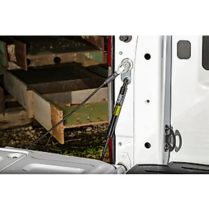 DZ43200 Tailgate Assist fits 04-14 Ford F150 & Lincoln Mark LT