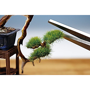 Platz 1/12 The-bonsai See Plastic model BON-03