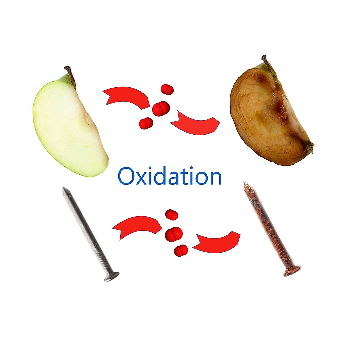 PackFreshUSA Top Tier Cake Preservation System