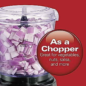 Hamilton Beach Power Elite Blender with 40oz Glass Jar and 3-Cup Vegetable Chopper, 12 Functions for Puree, Ice Crush, Shakes and Smoothies, Black and Stainless Steel (58149)