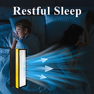 4 Pack HEPA Filter B FLT4825 Replacement for Air Purifier Filter, Fit AC4825 AC4300 AC4800 AC4900 AC4850, Premium HEPA Filter and 8 Activated Carbon Pre-Filter by TOMOON