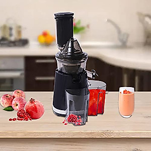 awolsrgiop Juicer Machine, 250W Masticating Juicer Cold Press Slow Juicer Extractor for Home Juicer Machines for Nutrient Fruits Quiet Kitchen Double Slots Stainless Steel High Juice Yield Low Noise