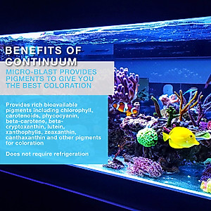 Continuum Aquatics ACO30671 Micro Blast for Aquarium, 8.5-Ounce