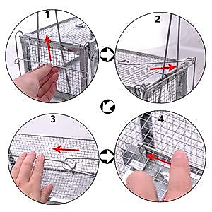 MATATA Humane Mouse Trap Live Animal Cage Trap for Rats Mice Gopher Rodents Chipmunks and Similar Sized Pests