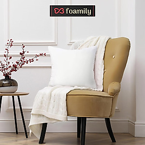 Foamily Throw Pillows Insert 18 x 18 Inches - Bed and Couch Decorative Pillow - Made in USA - Bed and Couch Sham Filler