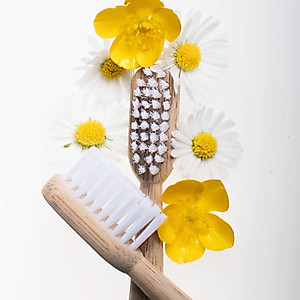 MABLE Bamboo Toothbrush, Adult Two Pack, BPA-Free Soft Bristle Toothbrushes, Eco-Friendly, Compostable Natural Wooden Toothbrush