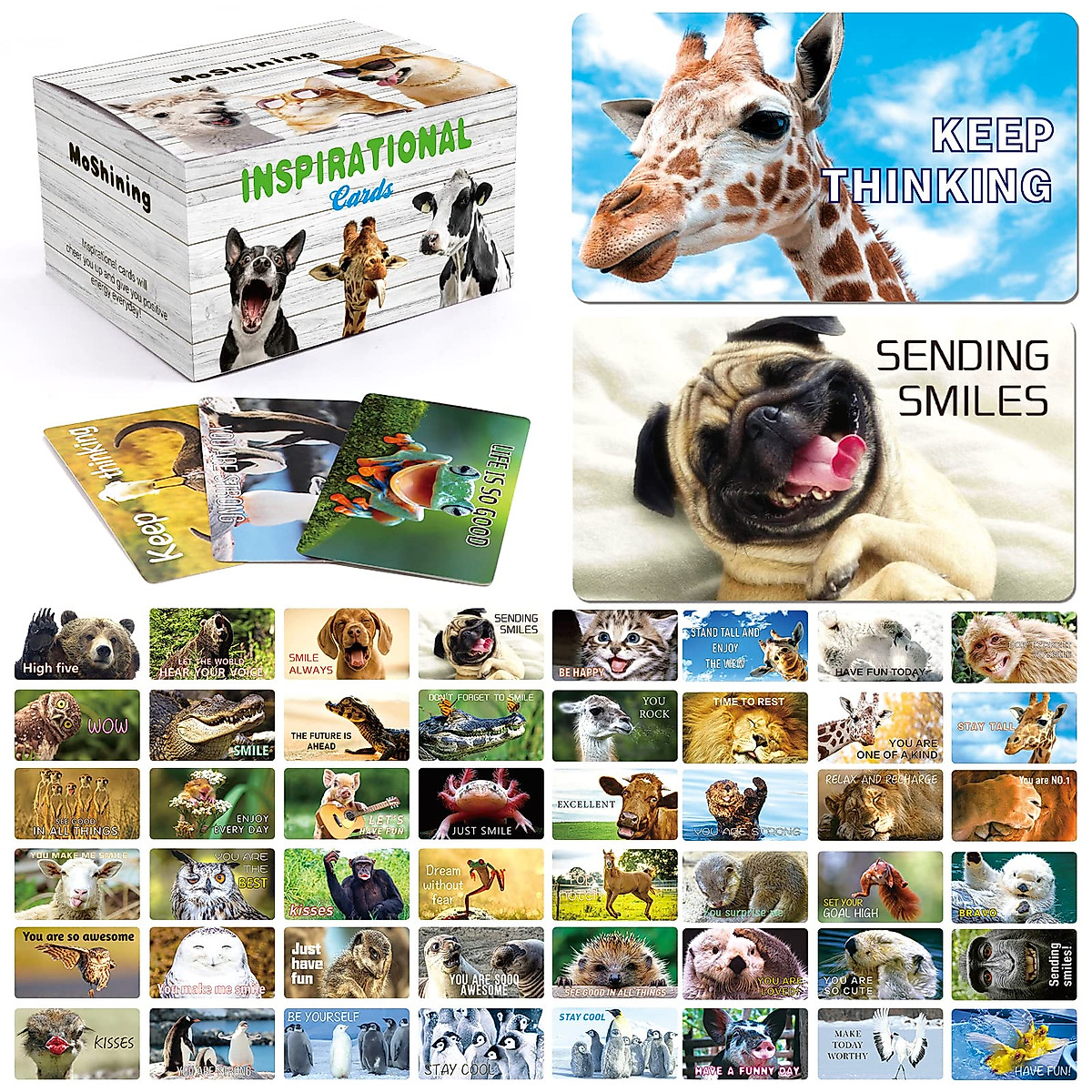 Fun Animal Motivational Quote Cards 360 Counts Encouragement Inspirational Kindness Appreciation Gratitude Business Cards Size Kindness Cards Gifts for Employees Students Teachers Kids…