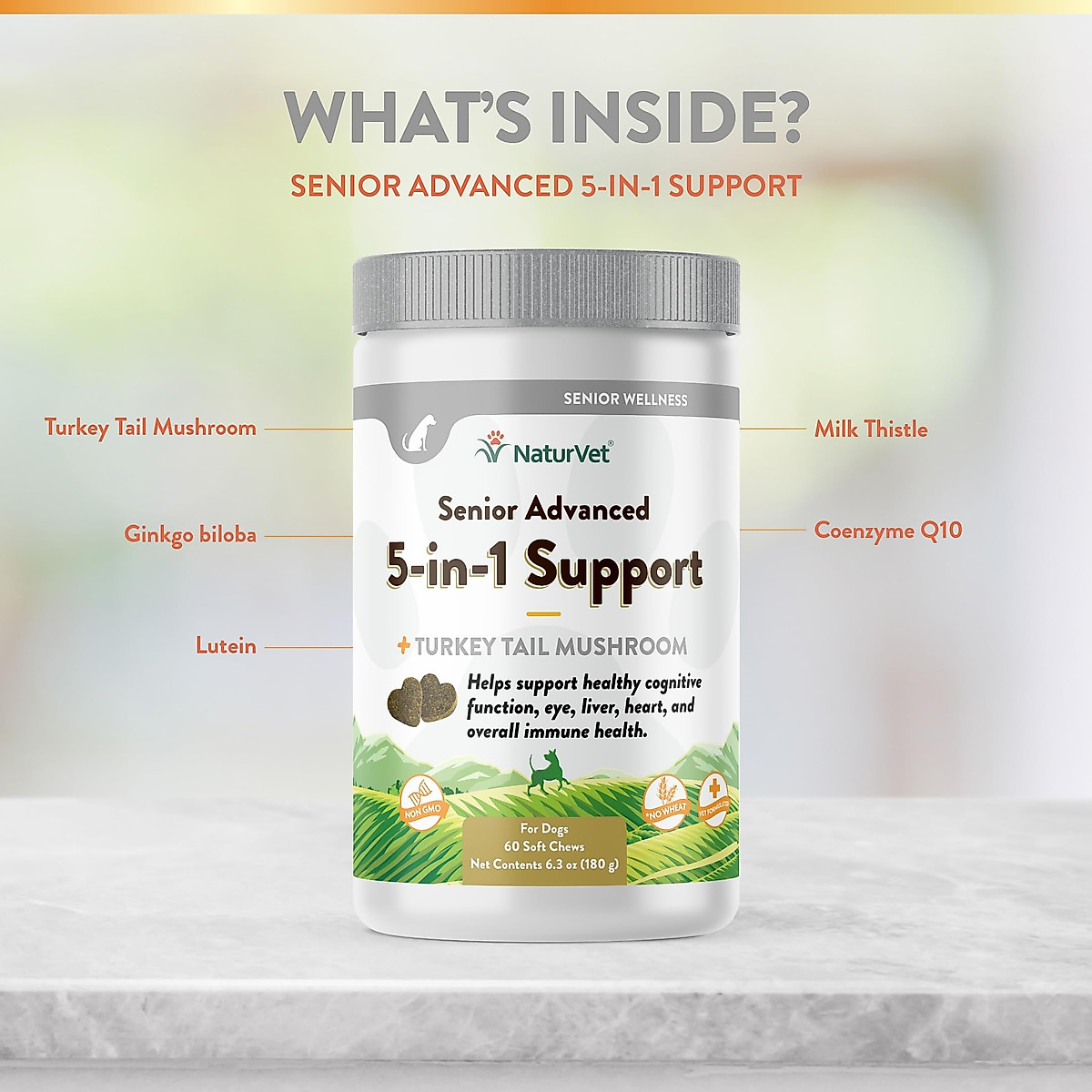 NaturVet Senior Advanced 5-in-1 Support Dog Supplement – Helps Support Immune System, Heart, Liver, Cognitive Function, Eye Health – Includes Ginkgo Biloba, Lutein – 60 Ct.