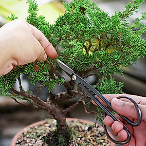 Phoenicus Bonsai Tools Set 13 Pcs High Carbon Steel Succulent Gardening Trimming Tools Set, Bonsai Scissors Set, yellow