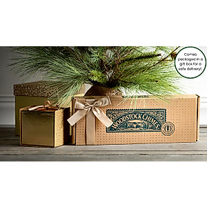 Woodstock Wind Chimes for Outside, Garden Decor, Hanging Gong, 17'' Wind Gongs for Outdoor, Patio, Home or Garden Decor Gift (WCBHG)