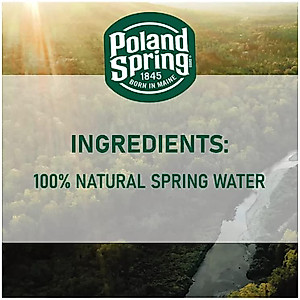 Poland Spring Natural Water 16.9 oz. 40 count (1 pack)