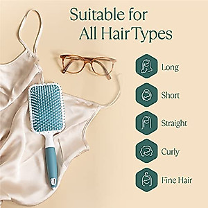 Hair Brush for Thick Hair with Ionic Minerals - Paddle Brush for Men and Women, for Blow Drying, Straightening - Gentle Bristles, Easy Comfort Grip Flat by Osensia (Oval Brush)