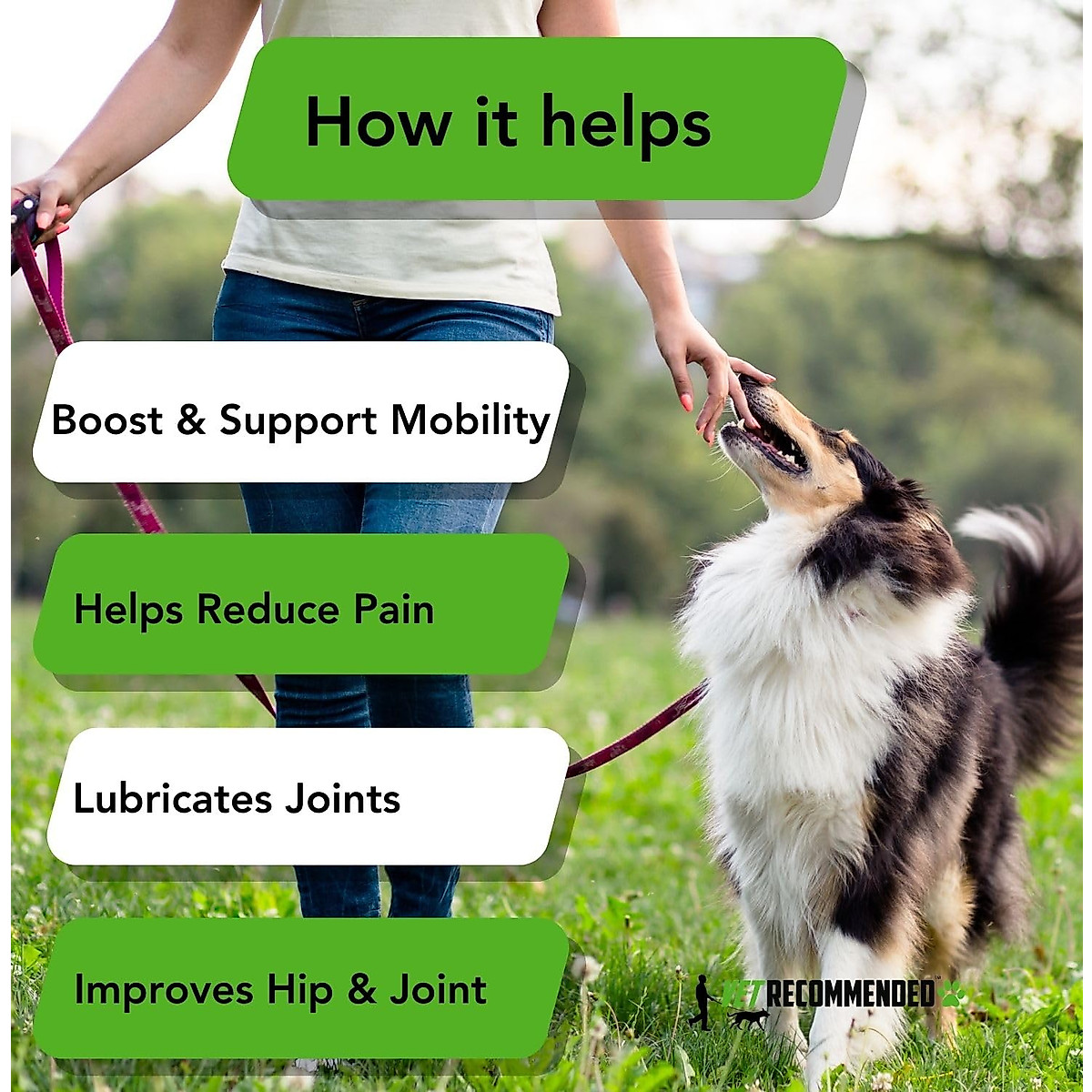 Vet Recommended™ Hip and Joint Supplement Chew for Small & Medium Dogs - Glucosamine, MSM & Chondroitin Chews | 60 Count