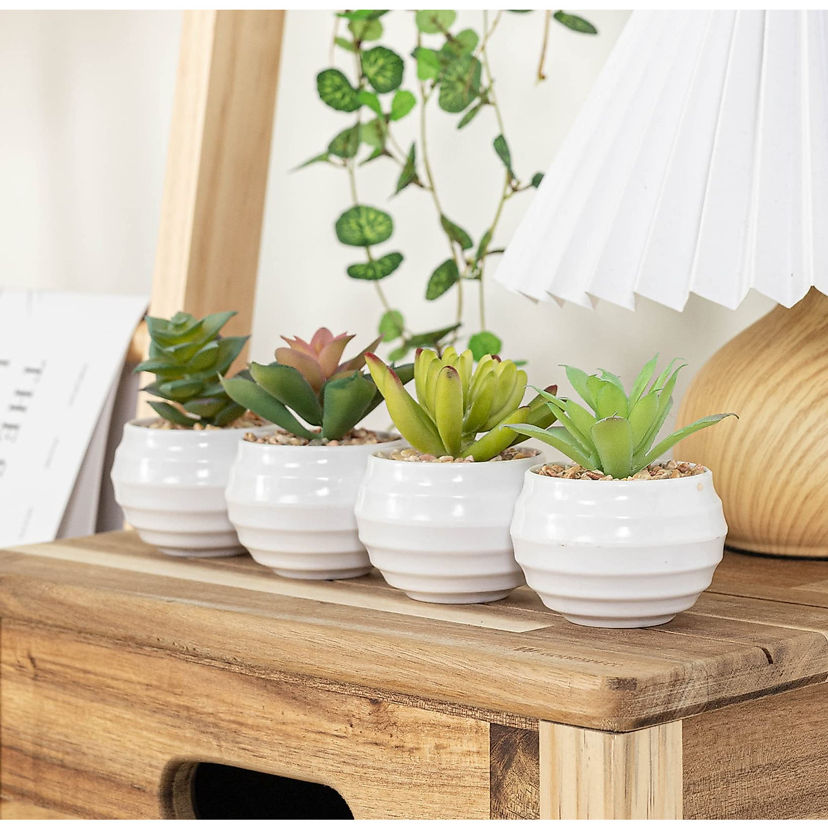 GOODSDECO Artificial Succulent Plants in Pots, Fake Plants for Indoors, Home Garden Decor, Cactus Plants Artificial, Fake Cacti, Faux Succulents, Set of 4