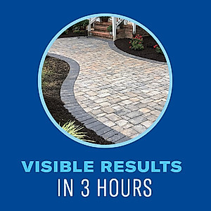 BioAdvanced Weed & Grass Killer, 64-Ounce, Super Concentrate