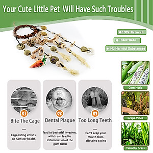 DAMPET 5 Strings， Bunny Teeth Grinding Chew Toys, Rabbit Cage Hanging Chew Toys, All Natural Materials for Guinea Pigs, Hamsters, Rabbits and Rats
