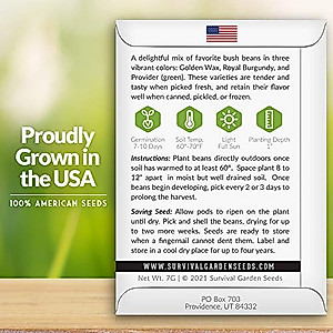 Survival Garden Seeds - Tri-Color Bean Seed for Planting - Packet with Instructions to Plant and Grow Yellow, Purple, and Green Bush Beans in Your Home Vegetable Garden - Non-GMO Heirloom Variety