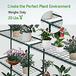 VIVOSUN 57x57x77-Inch Transparent Mini Walk-in Green House with Window and Anchor, Plant Garden Hot House 2 Tiers 8 Shelves, 4.7 x 4.7 x 6.4 FT
