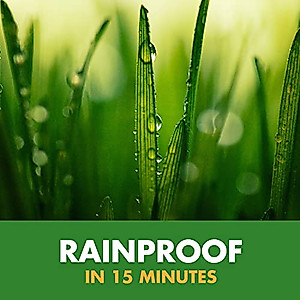 Spectracide Weed Stop For Lawns Plus Crabgrass Killer, Ready-to-Use, 1 gallon