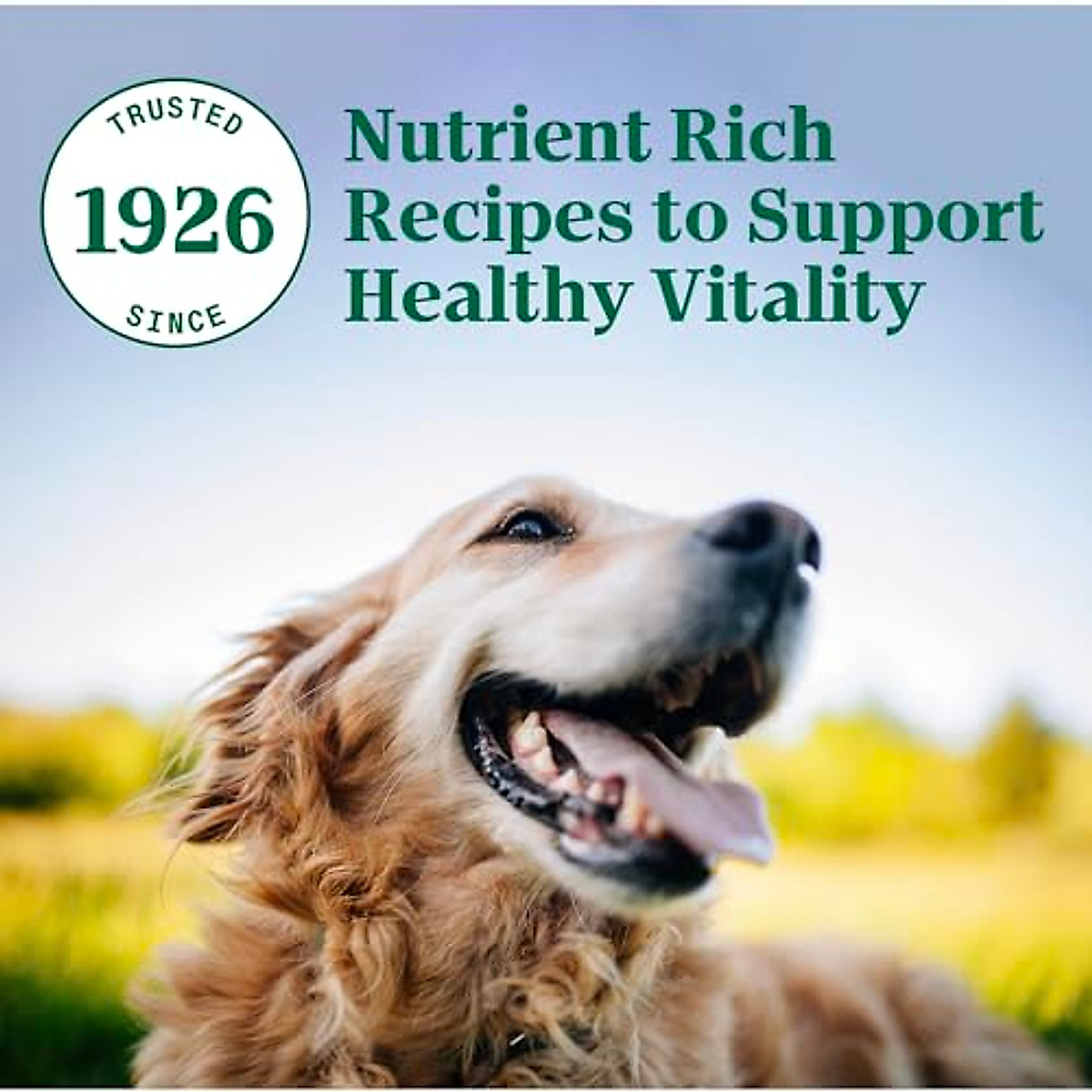 Nutro Natural Choice Senior Dry Dog Food, Lamb and Brown Rice Recipe, 30 lbs.