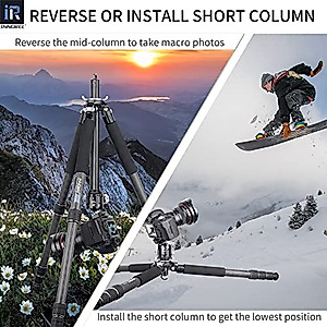 Carbon Fiber Tripod-INNOREL GT324C Professional Compact Tripod for DSLR Camera Heavy Duty Stand with Low Gravity Center Ball Head Special-Shaped Center Column Max Load 55lbs/25kg