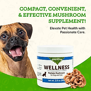 Animal Essentials Wellness Maitake Mushroom Supplement for Dogs & Cats - Healthy Immune Response, Supports Circulatory Function, Critical Immune Defense, Mushroom Powder Extract - 2.8 Oz (Pack of 1)