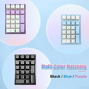 BOYI TD21 HotSwap Mechanical Numeric Keypads,21 Keys Mini Numpad Portable Keypad BT5.0/2.4G/Wired Keyboard RGB Number Pad Wireless Numeric Keypad(Blue Color with OEM Profile Pudding Keycaps)