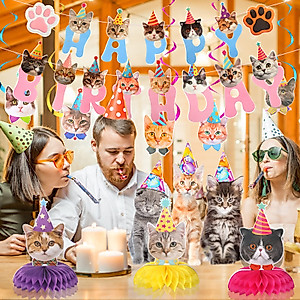 16 Pcs Cat Theme Birthday Party Decorations Party Supplies Kit, Includes Cat Party Banner with 6 Cat Hanging Cutouts 6 Hanging Swirl Decor and 3 Birthday Honeycomb for Kids Girls (Cute Style)