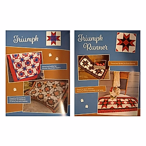 Deb's Cats N Quilts Bundle - The Ultimate Flying Geese Book & Creative Grids Ultimate Flying Geese Ruler CGRDH4