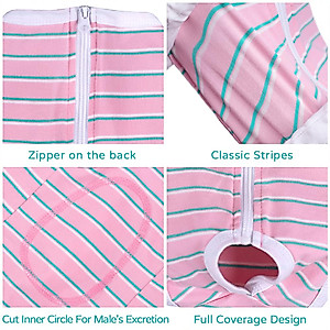 Dog Surgical Recovery Suit, Spay Recovery Suit for Dogs Cats, Post Surgery Dog Onesie for Male Female, Soft Comfortable & Breathable (Black Stripe-S)