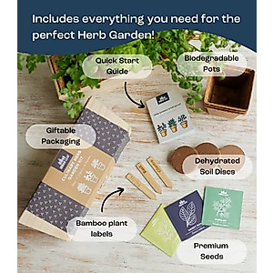 Herb Garden Kit Indoor – Indoor Herb Garden Starter Kit – Dwarf Tomato, Chili Pepper and Eggplant Seeds – Sturdy Reusable Planter, Enriched Soil & Bamboo Labels – Indoor Garden Kit