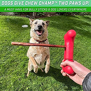 GoSports Chew Champ Bully Stick Holder for Dogs - Securely Holds Bully Sticks to Help Prevent Choking, Red - 8 Inch Size
