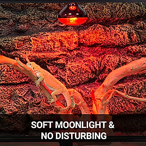 REPTIZOO 75W Reptile Heat Lamp Bulb 2PCS Infrared Heat Emitter Red Heat Lamp for Reptile Amphibian, Infrared Basking Spot Light Bulb