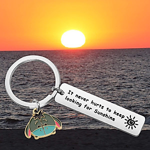 It Never Hurts to Keep Looking for Sunshine Bar Kecyahin with Donkey Charm A.A Milne Quote Jewelry Inspiration Gift (Bar Keychain) Sliver