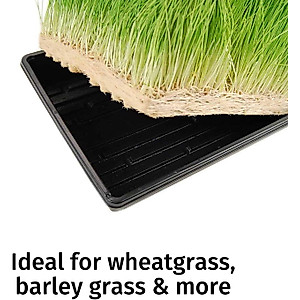 Micro-Mat Minis Hydroponic Grow Pads - for Organic Production - Plant & Seed Germination: Wheatgrass, Microgreens, More - Measures 4" x 4" to fit 5" x 5" Greenhouse Plant Trays (48)
