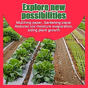 HASHI Bird Cage Liner - 120 Disposable Sheets, 31" x 21.5", 5.5 lb - Made from Acid-Free Newsprint. Non-Toxic for Birds, Ideal for Packing, Pet Cages, Crafts, Shipping, and Moving. Easy to Clean