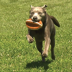 Nylabone Power Play Felt Football Gripz Fetch Toy, Squeaky Ball Chew Toy for Dogs, Large (1 Count)