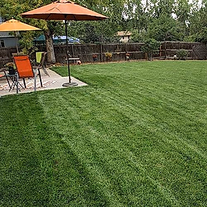Outsidepride SPF-30 Heat & Drought Tolerant Hybrid Bluegrass Lawn Grass Seed - 10 LBS
