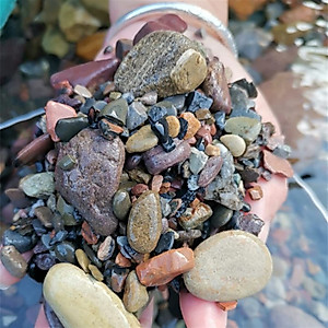 FEWZPDTTCJ 1000g Natural Stream Sand Aquarium Substrate Landscaping Decoration Small Stones Aquatic Pet Supplies Reiki Crystals