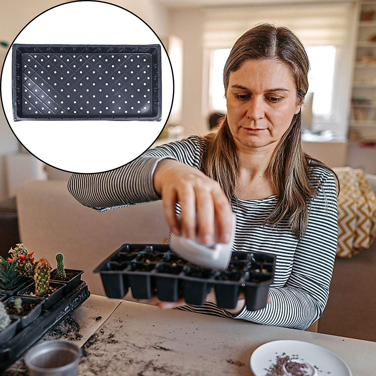 Cabilock 5Pcs Tray Plant Starter Tray Plastic Plants Garden Propagator Tray Plastic Propagation Tray Plastic Growing Tray Plastic Pallet Plastic Germination Tray Dome Sprout Plate